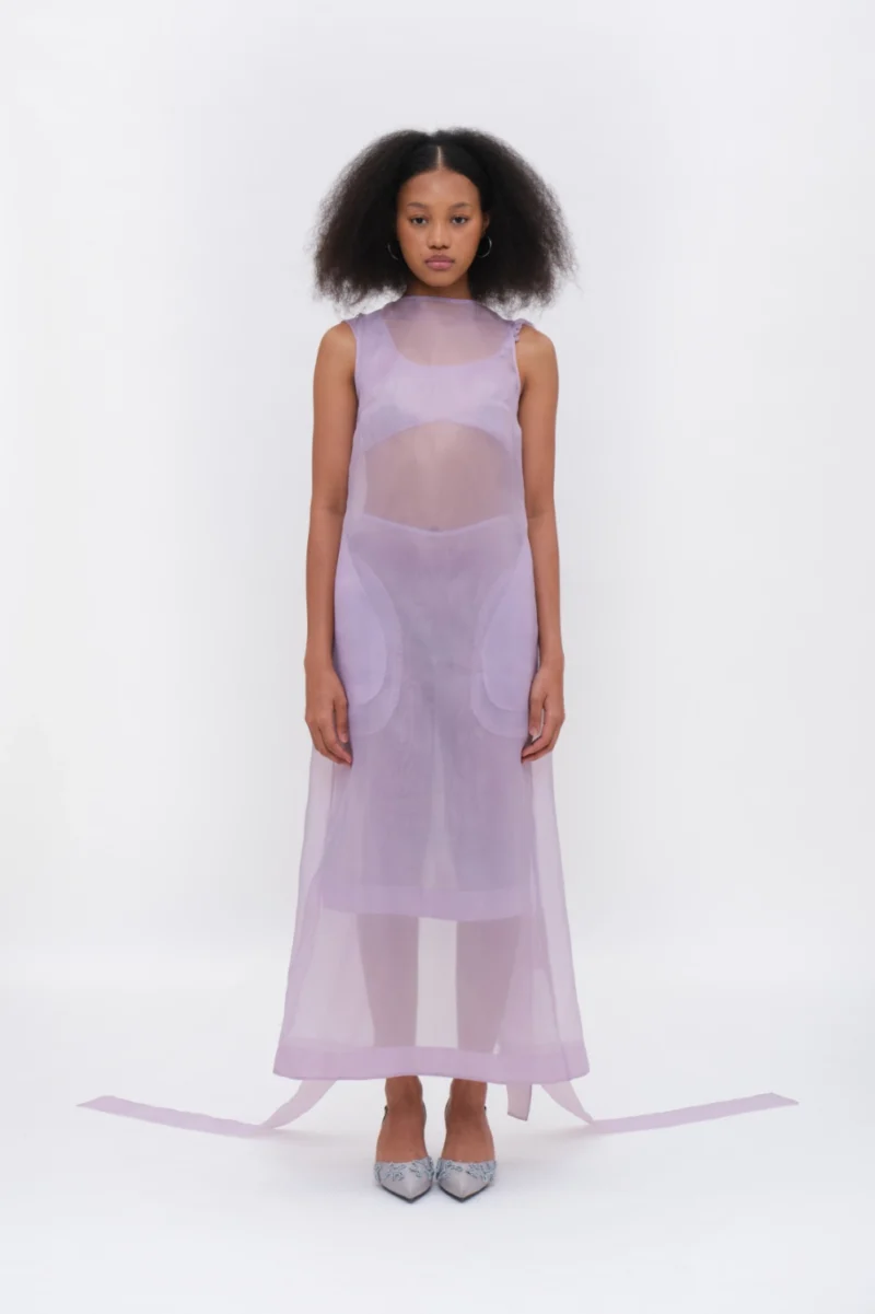 Sheer Maxi Dress with Bow Straps - Laurencia Irena